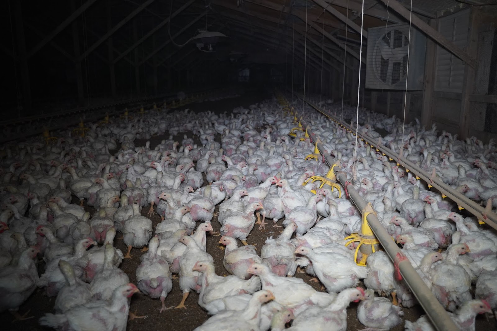 Ten Things You Need to Know About the Company Trying to Put Me in Prison