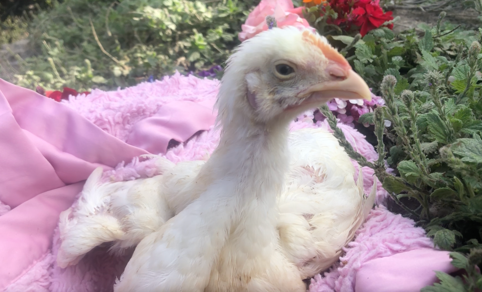 Ten Things You Need to Know About the Company Trying to Put Me in Prison