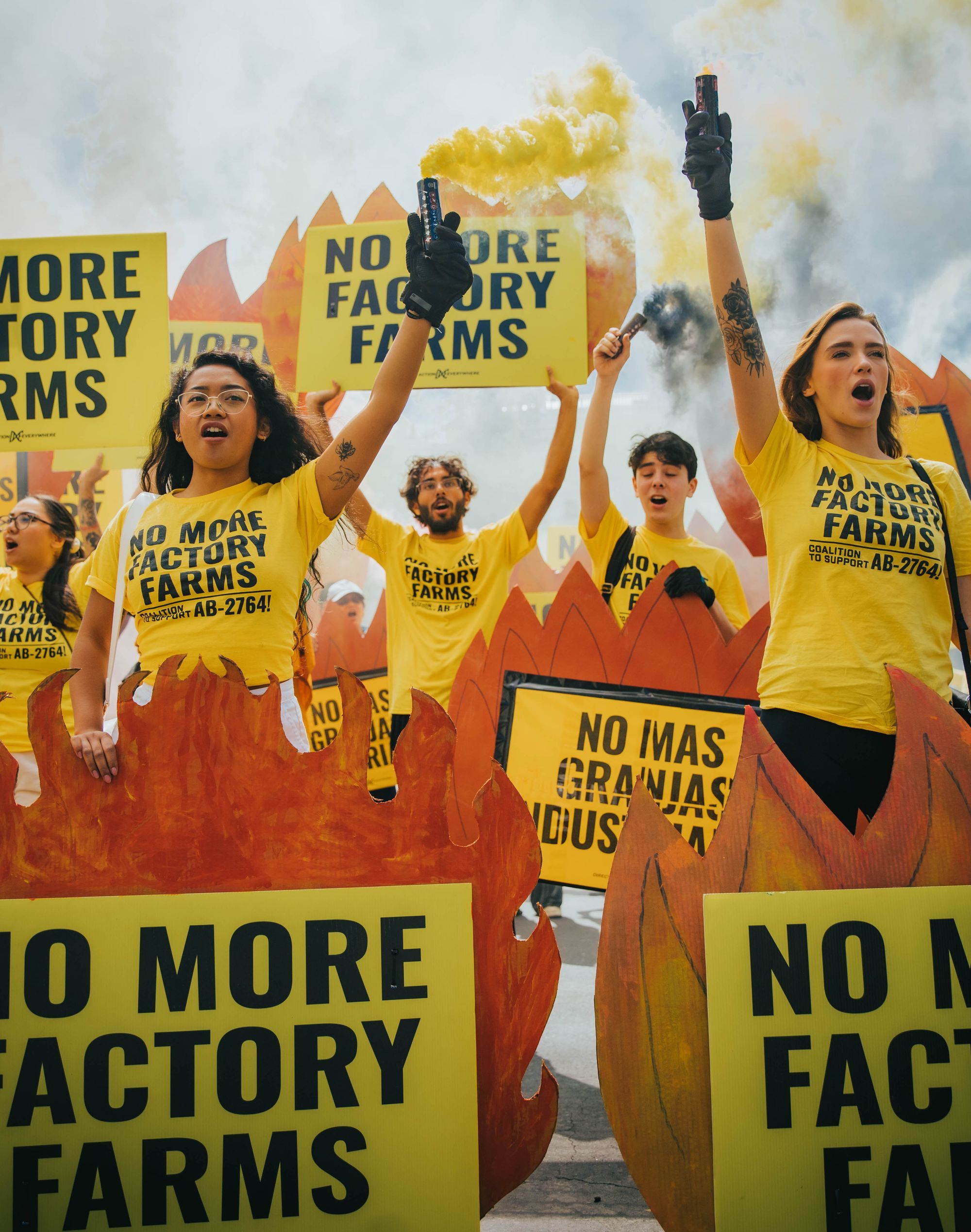 Direct Action Everywhere - Until every animal is free