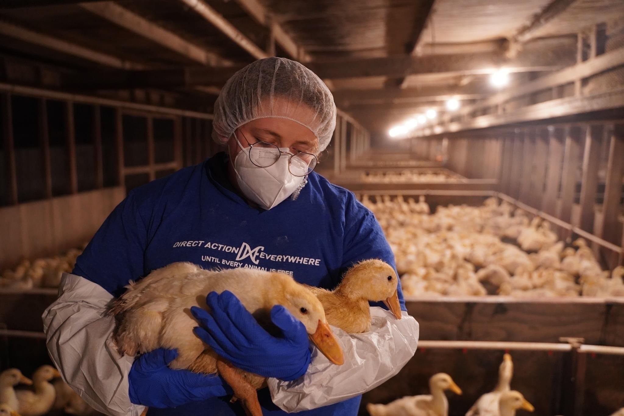 Donate - Direct Action Everywhere