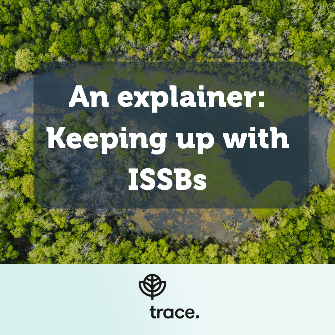 An explainer: Keeping up with ISSBs | Trace