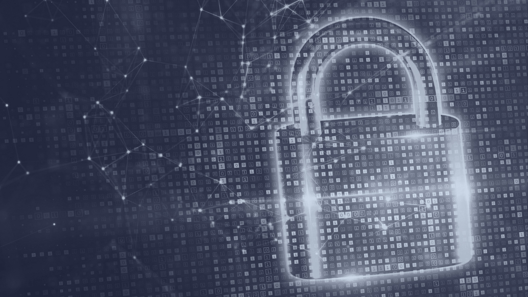 CASE | Data Privacy Brasil