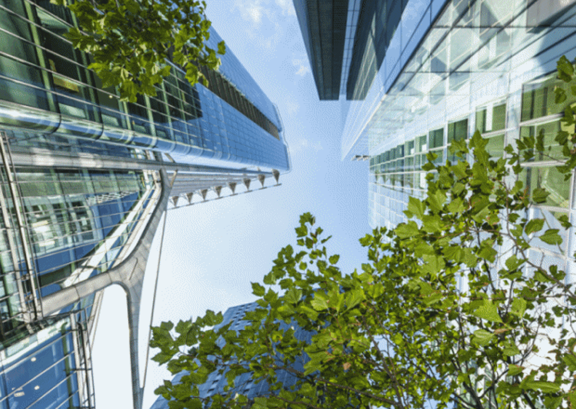 10 Effective Tips to Reduce You Carbon Footprint in the Construction ...