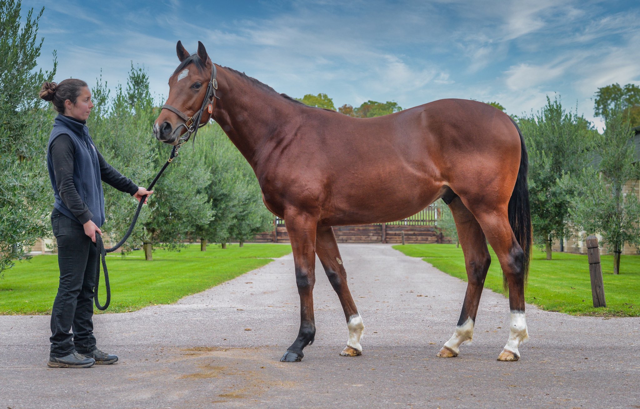 William Knight Racing | Holkham Bay