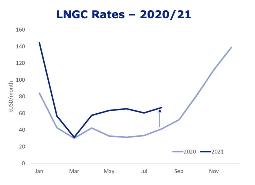 LNG Market Insights