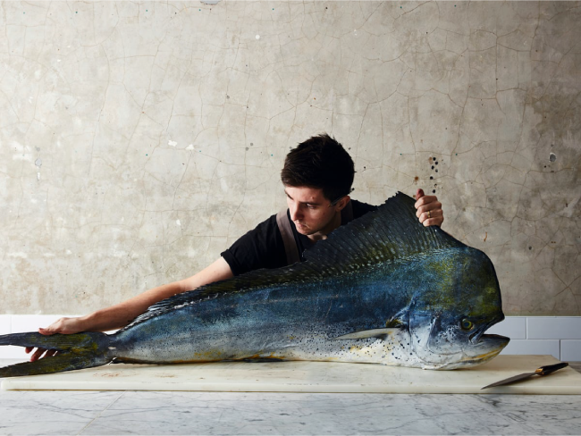 The Whole Fish Cookbook Review | The Cooking World