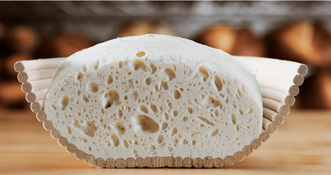 Modernist Bread Review | The Cooking World