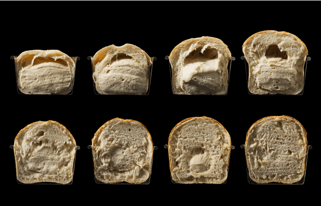 Modernist Bread Review | The Cooking World