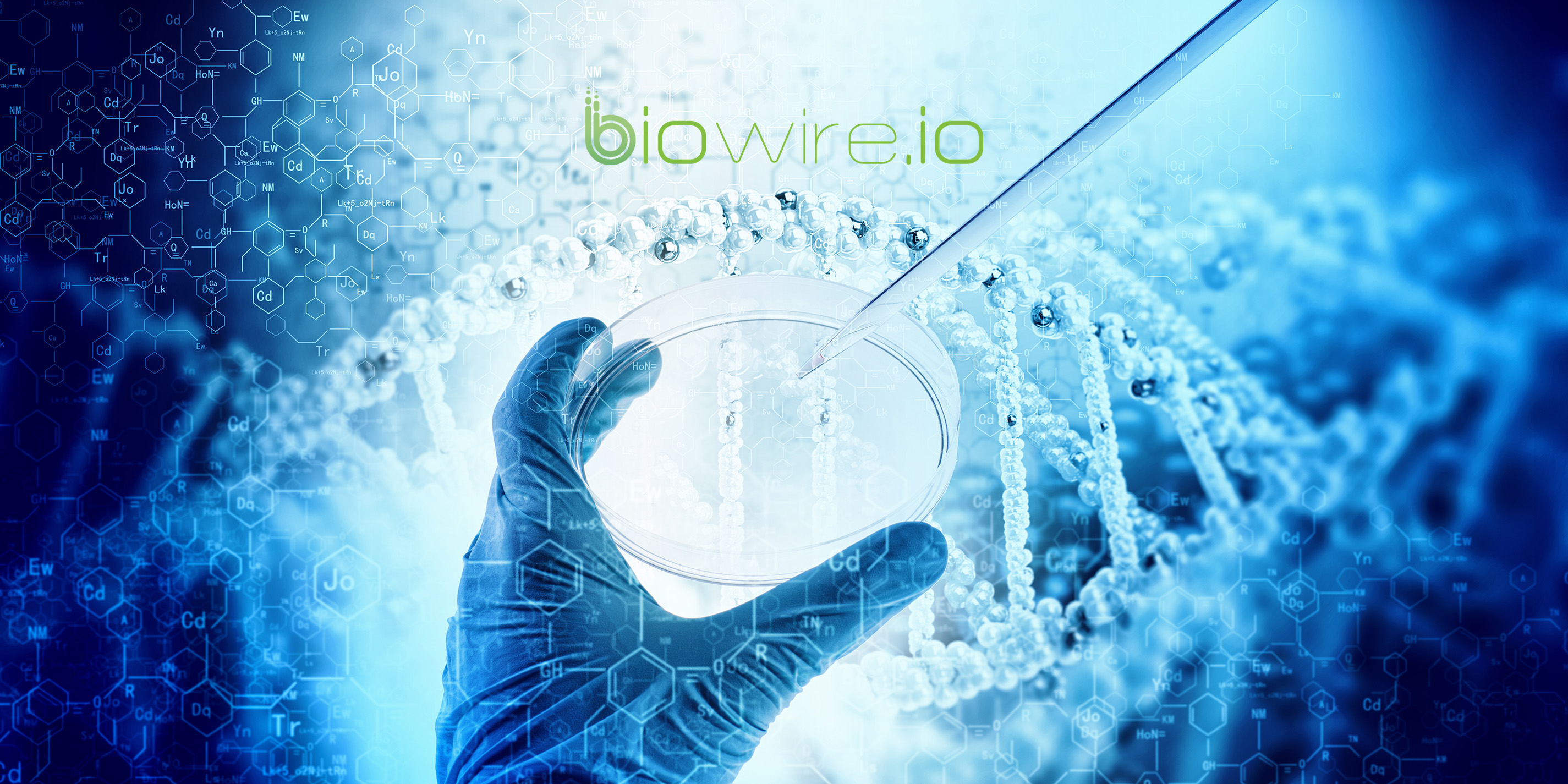 SV Partners. Building the Next.