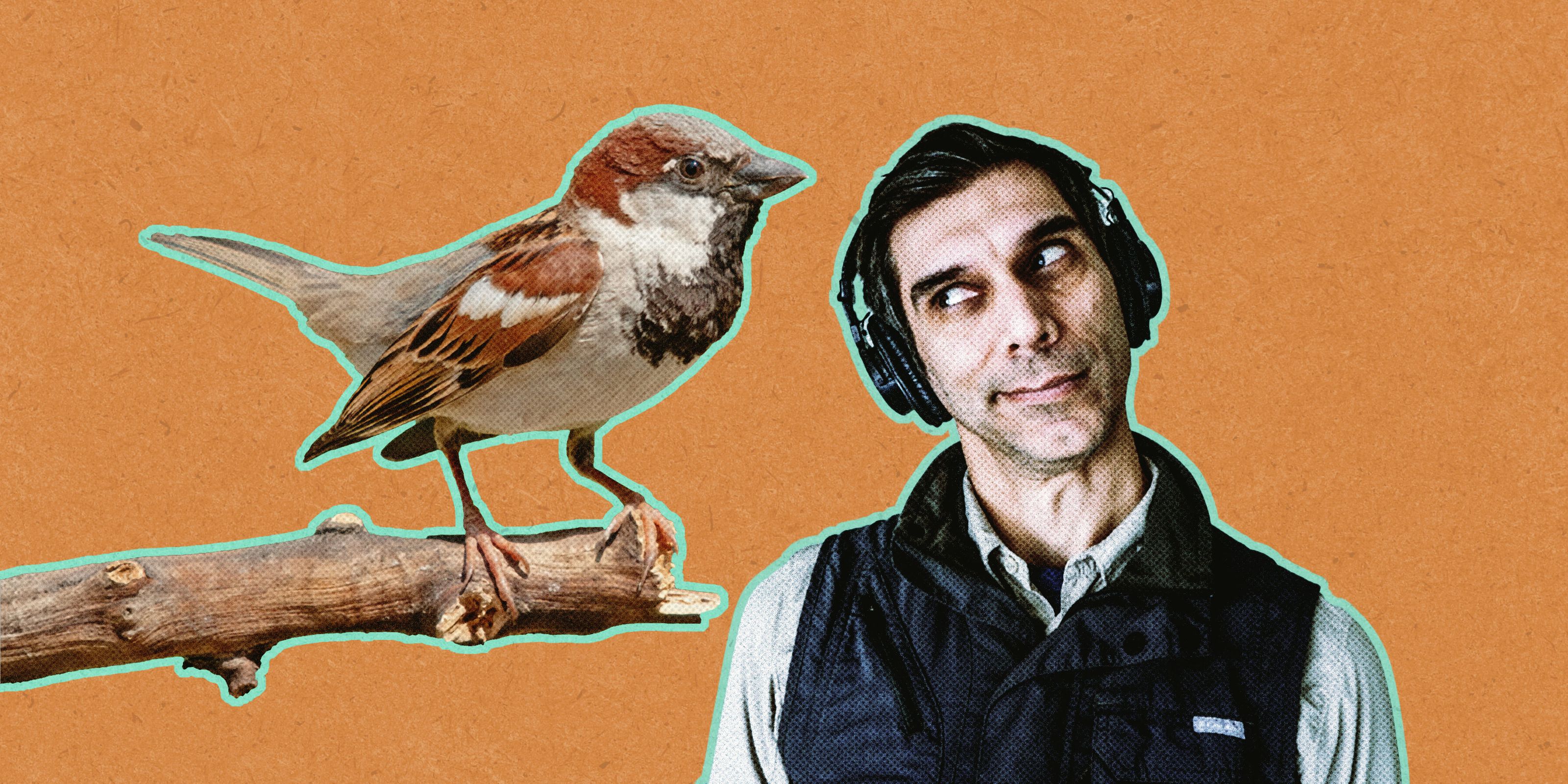 Podcast Episodes - The Science of Birds