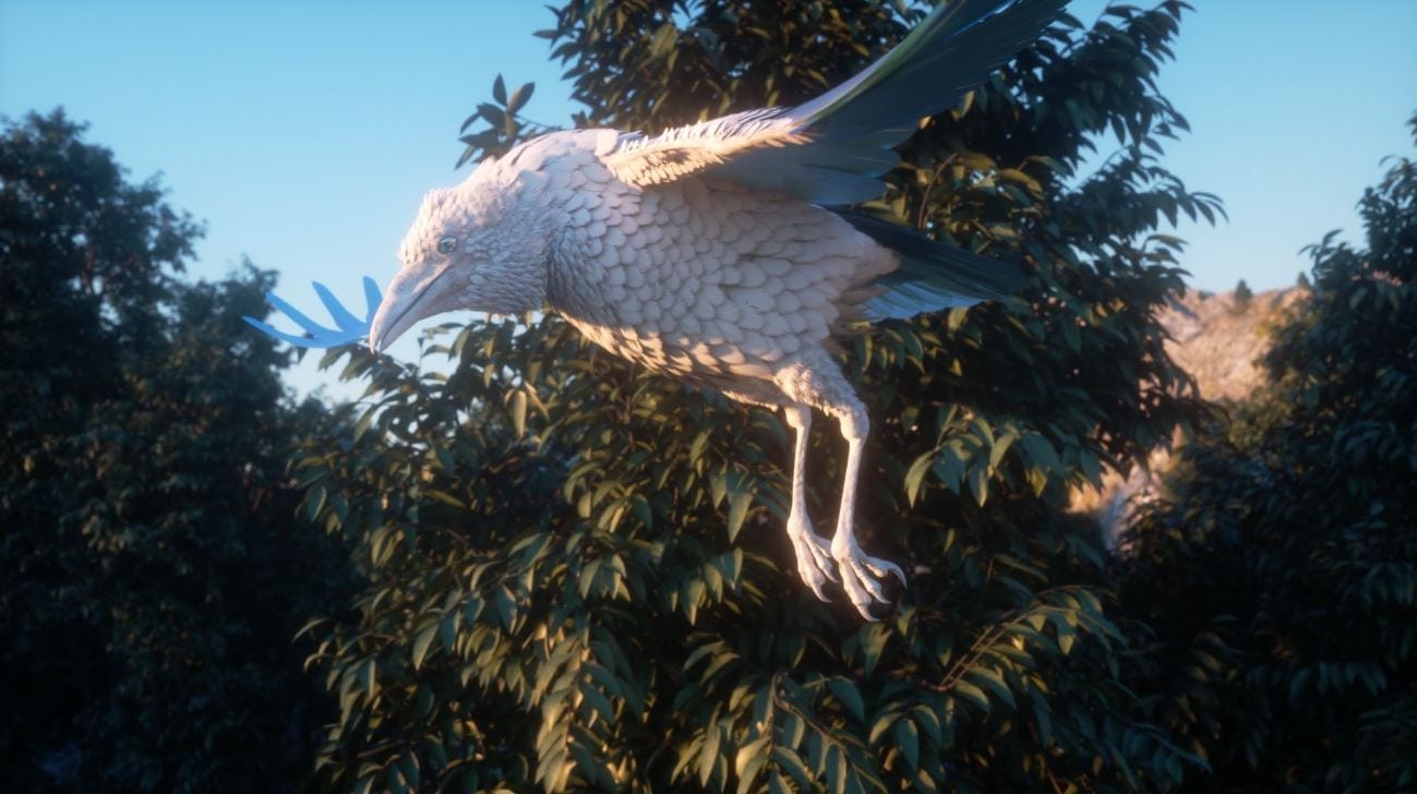 Bird by Esteban Diacono | GarageFarm.NET