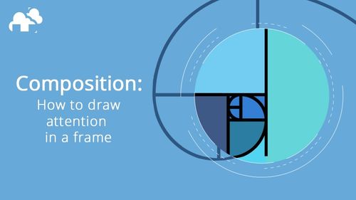 Composition: How To Draw Attention In A Frame | GarageFarm
