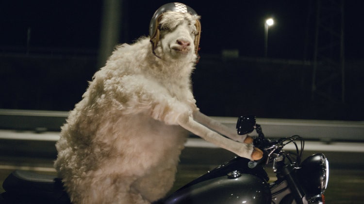 Maya For The Indie Artist, is Maya for you?