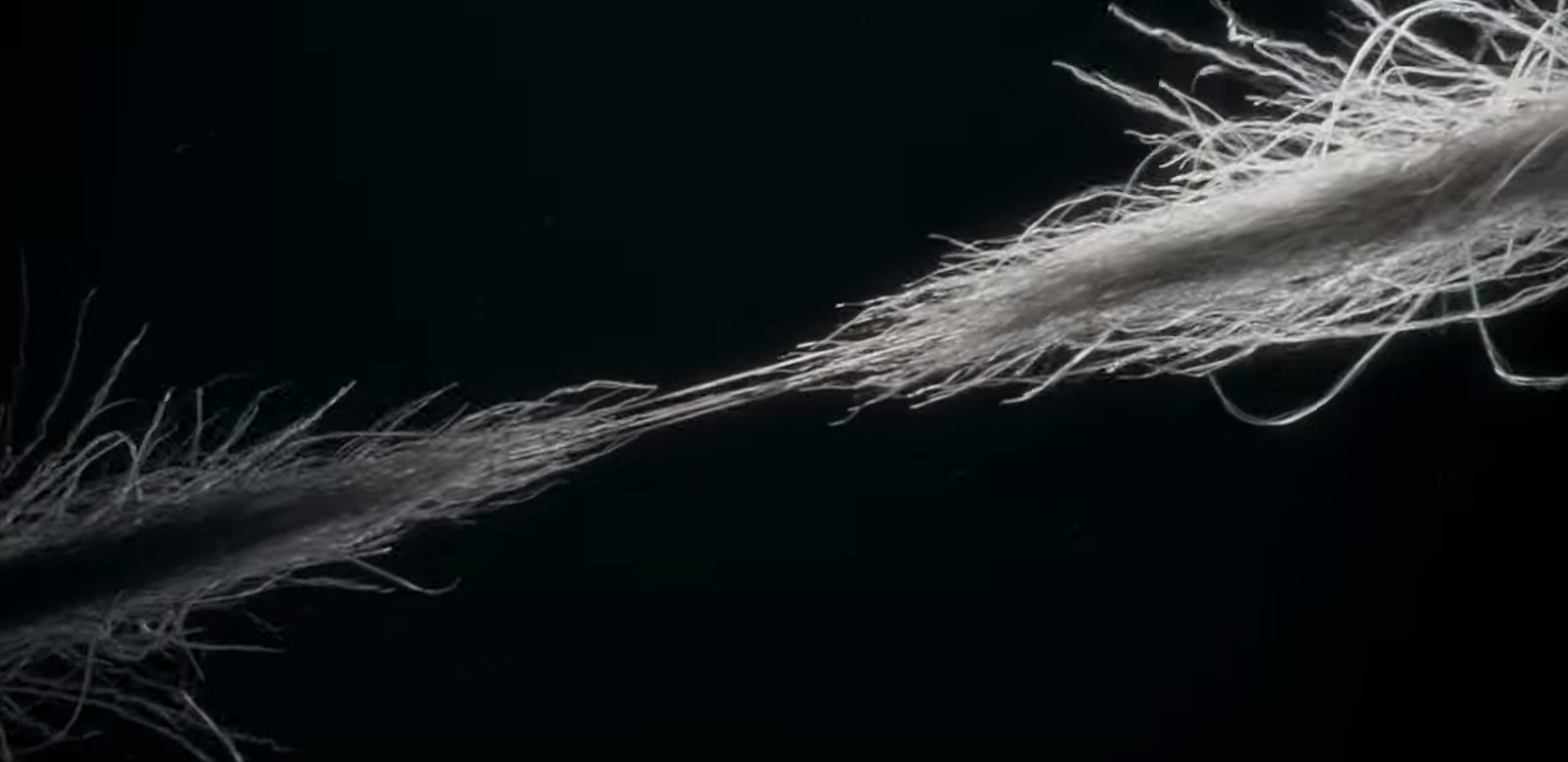 The Render Farm For NPR: Beyond Photorealistic 3D Rendering