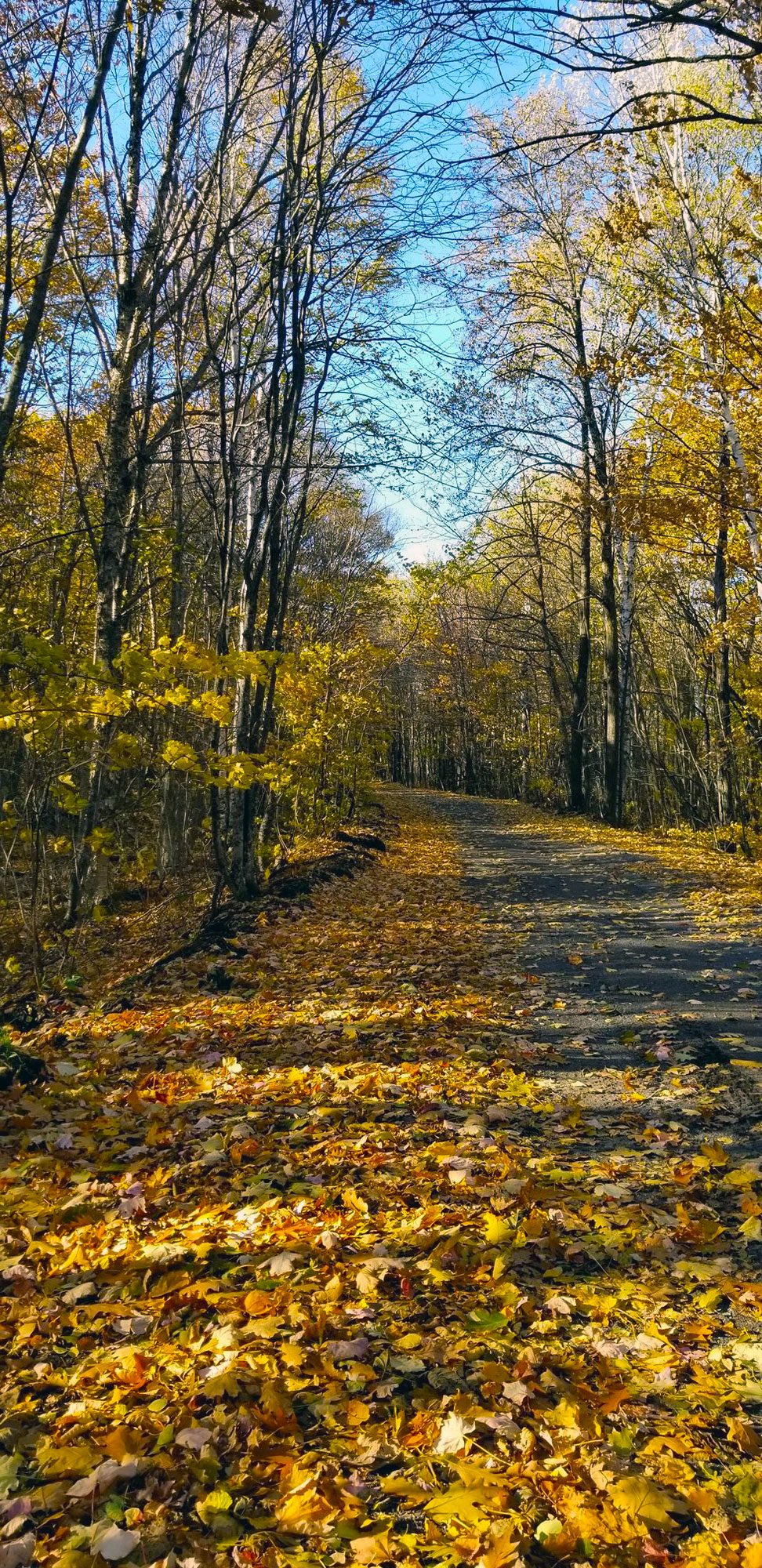 Copper Country Trailmaps and Points of Interest | Trailside Lodge ...