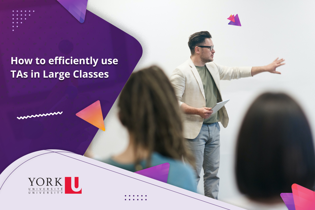 How to efficiently use TAs in Large Classes