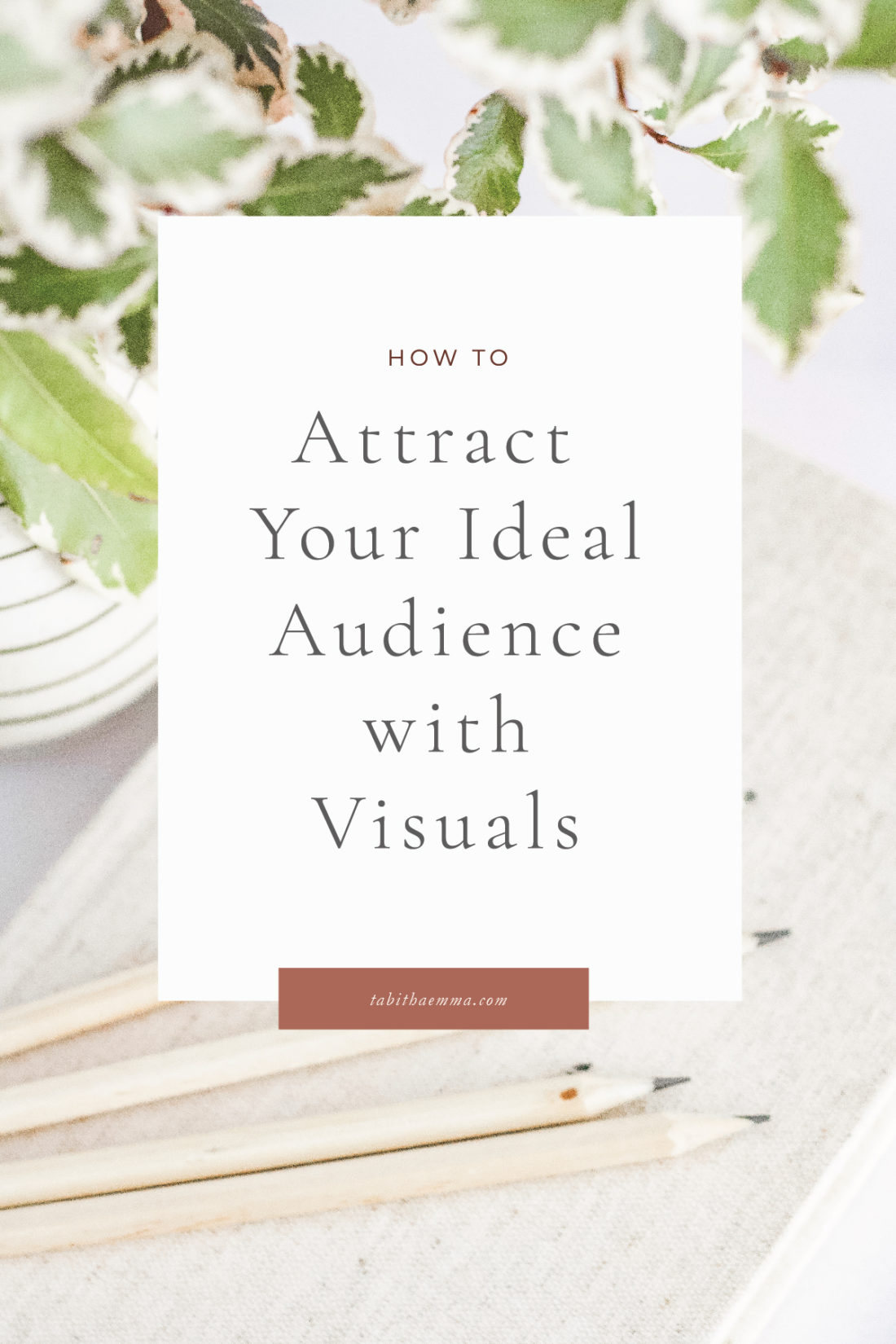 How to Attract your Ideal Customers and Clients using Visuals