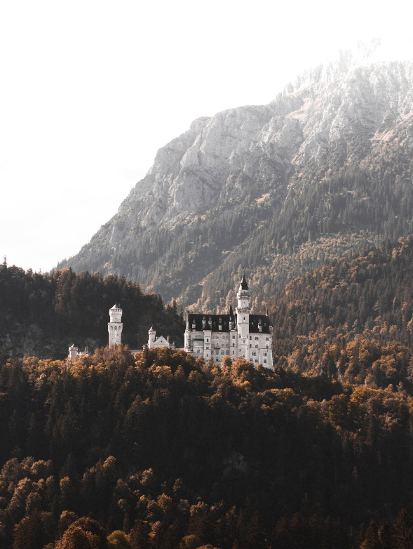 Brave Starts Basic Level