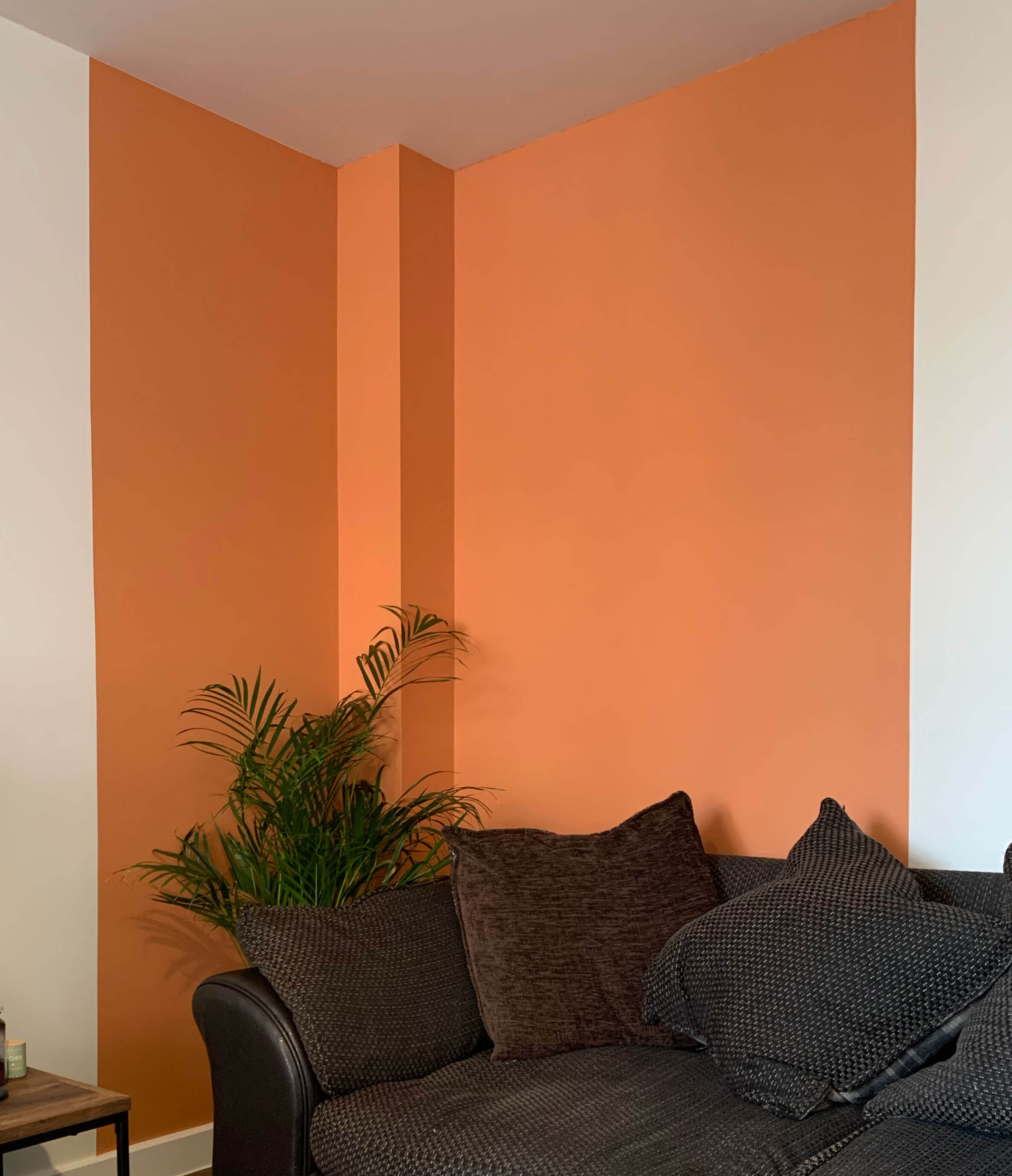 Coat Paint Review: Decorating With the UK's Newest Paint Brand