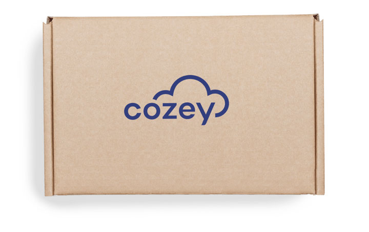 Meet Cozey, Canada's First Sofa-In-A-Box Brand
