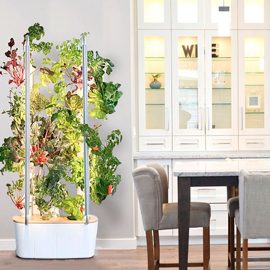 Gardyn on Living Cozy