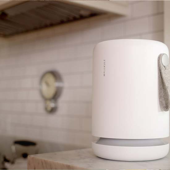 Molekule on Living Cozy