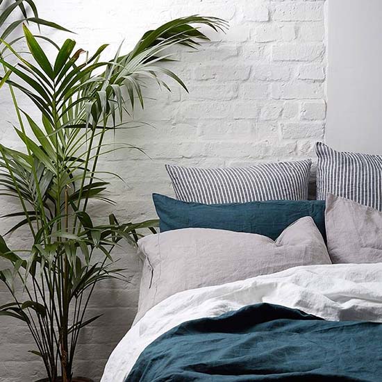 Piglet in Bed on Living Cozy