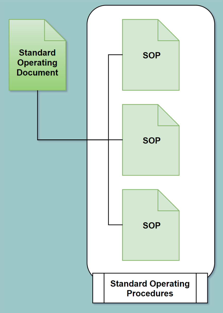 Natural Orders | Email Marketing Strategy