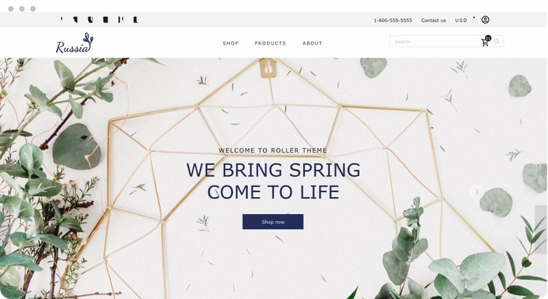 Store Design | Best Website Templates from ShopBase