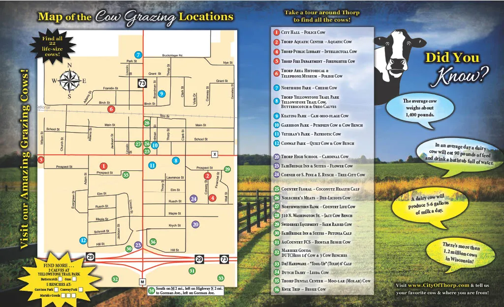 Amazing Grazing Cows | City of Thorp