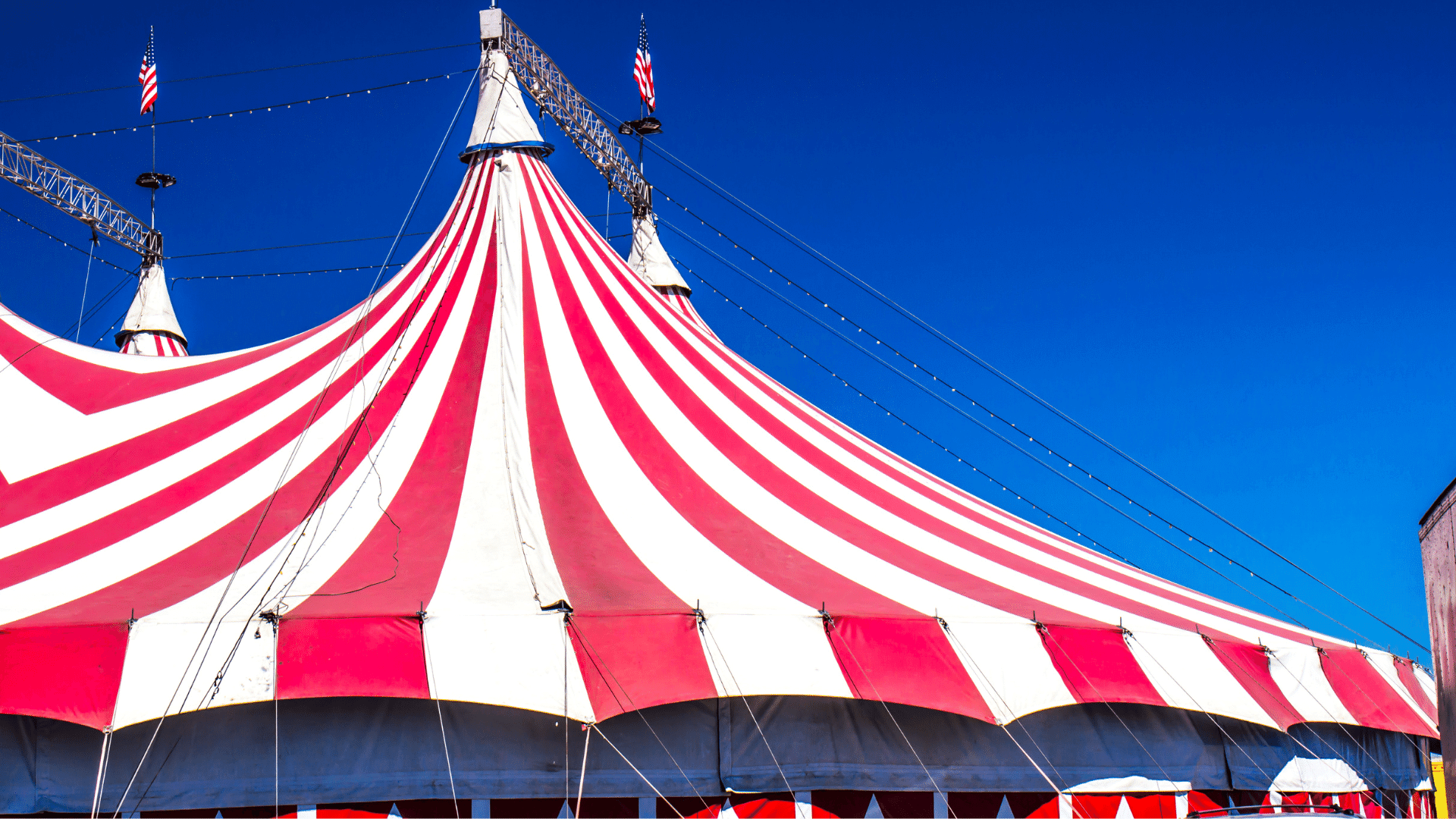 Biennial Circus | City of Thorp