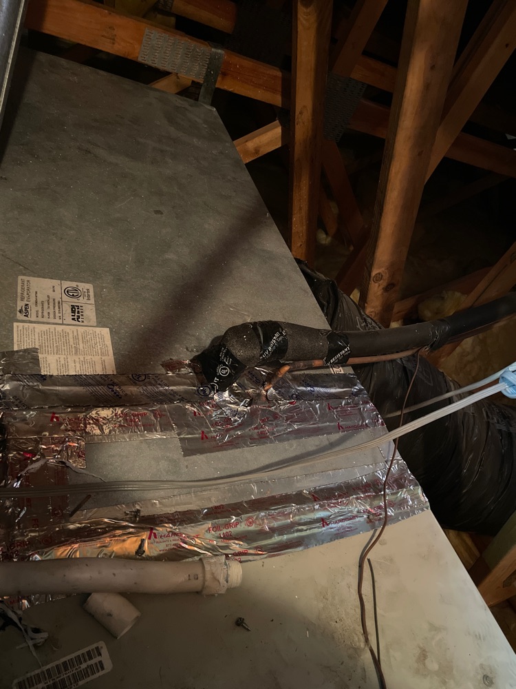 ᐉ Reinstalling the Carrier prime drain line — Prime Air Solutions