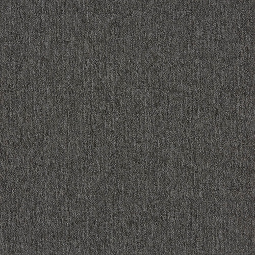 Belgotex Influence – Crush-Resistant Carpet for Enhanced Home Decor