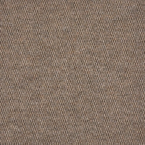 Berber Point 920 Broadloom & Carpet Tile by Belgotex