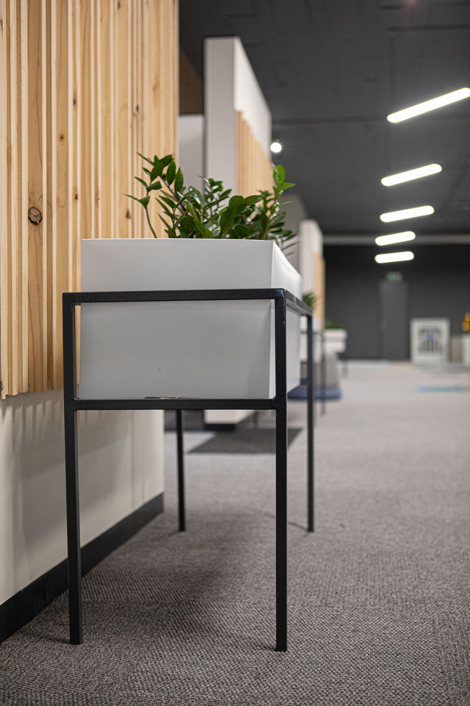 Flooring Project: Wonga, Cape Town with Belgotex