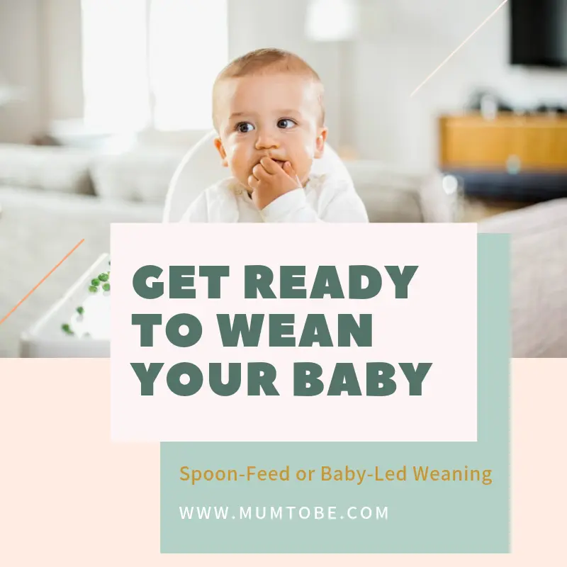 Weaning Guide for Beginners