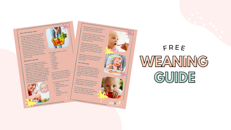Weaning Guide for Beginners