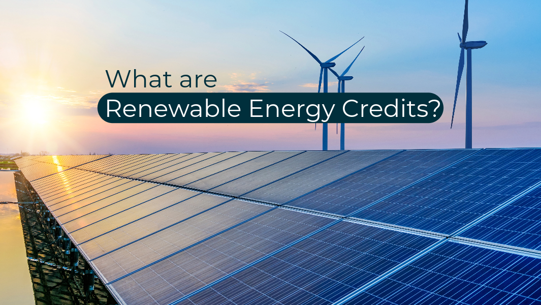 What are Renewable Energy Credits?