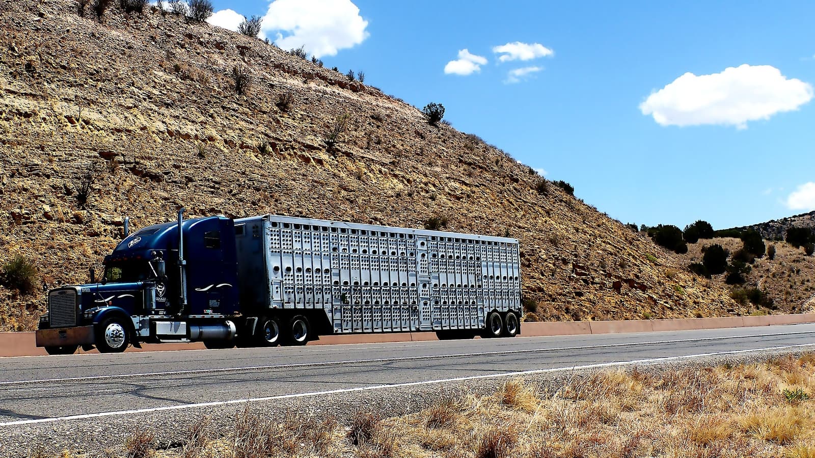 Everything You Need to Know About Less-Than-Truckload (LTL) Freight ...