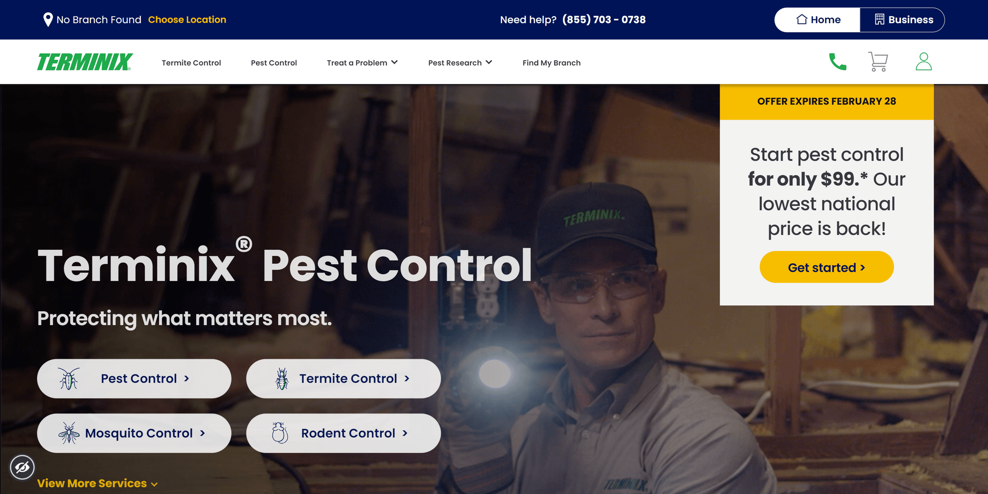 Best Pest Control Websites: Important Strategies to Include (+Tips)