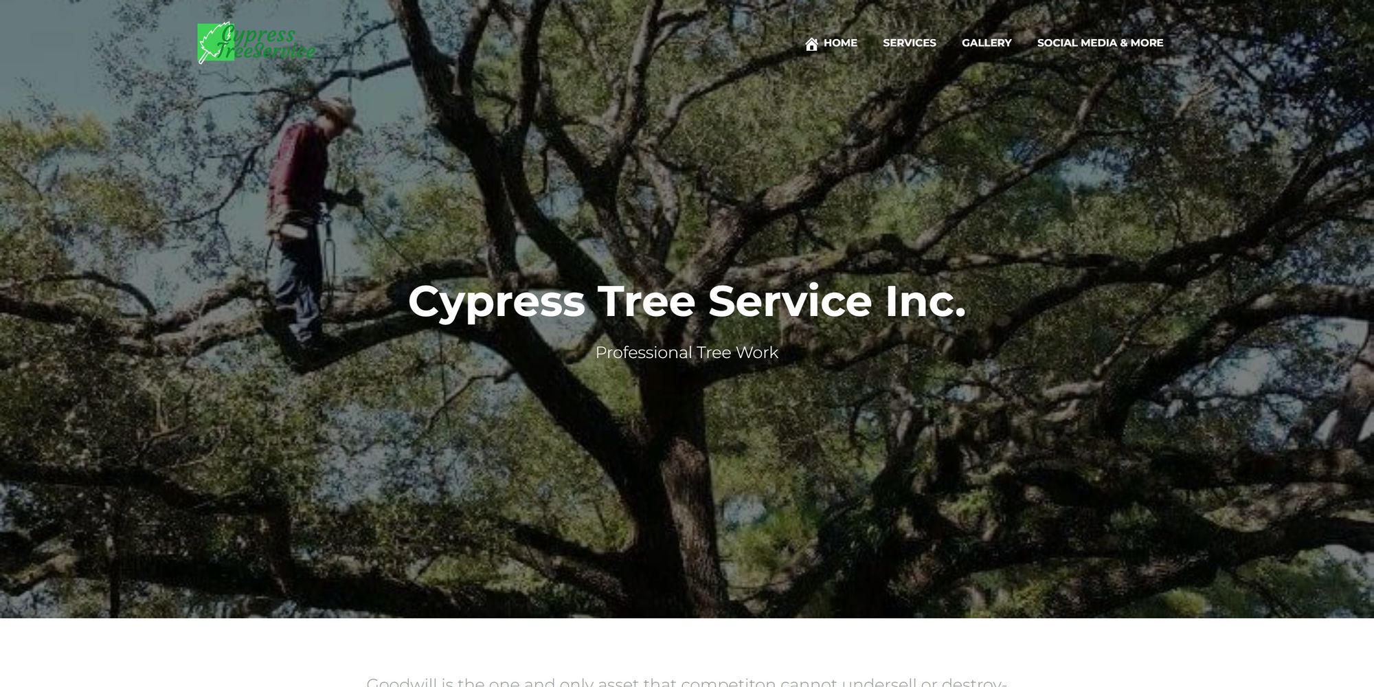 Leading Tree Trimming Websites: Crucial Features to Implement (+Examples)