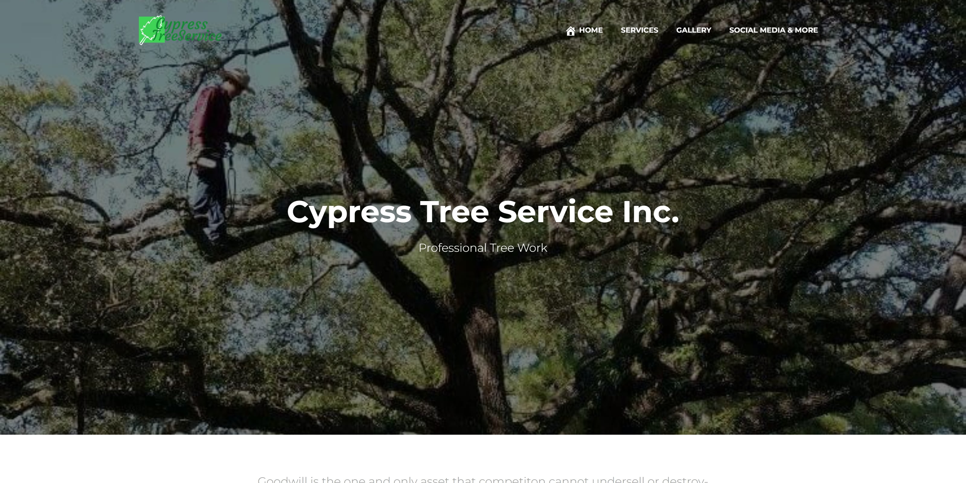 Leading Tree Trimming Websites: Crucial Features to Implement (+Examples)