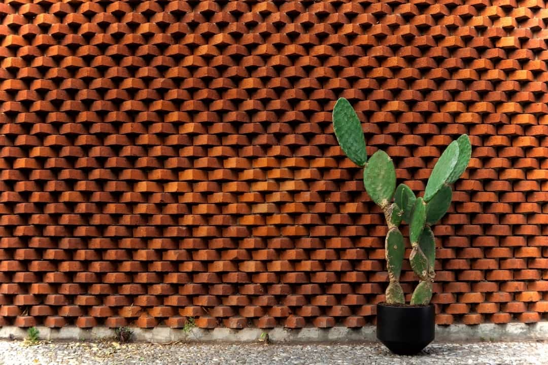 Collective Design Source | Peter Lane Studio