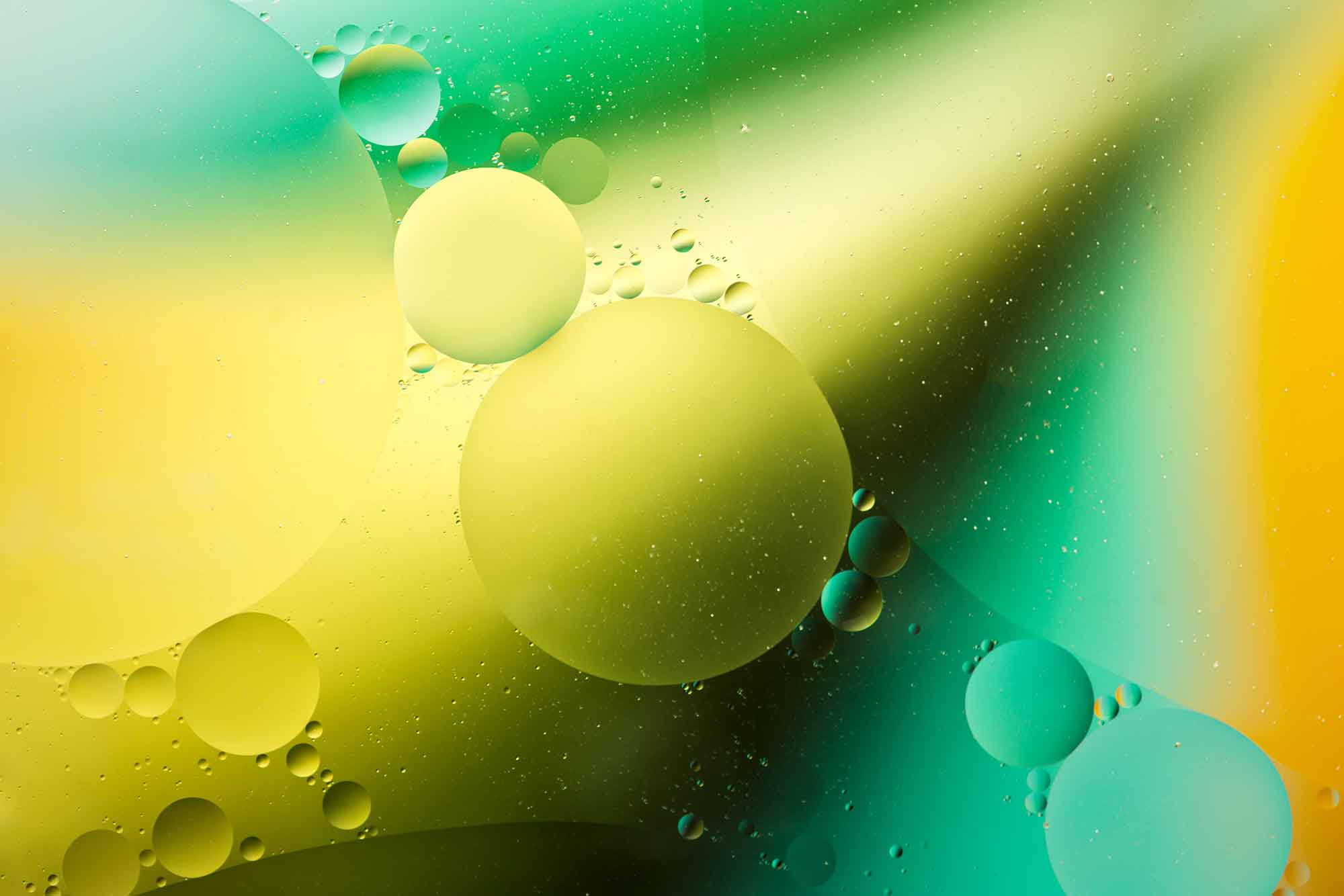 Build UIs that learn – discover the powerful combination of UI and AI – WeAreDevelopers Live