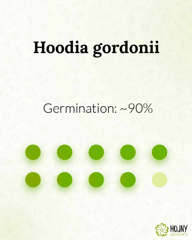 🌱 Hoodia gordonii – Seeds | Seeds | Shop Now