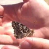 Shift.ms | Forum, Community & Support For Those With MS