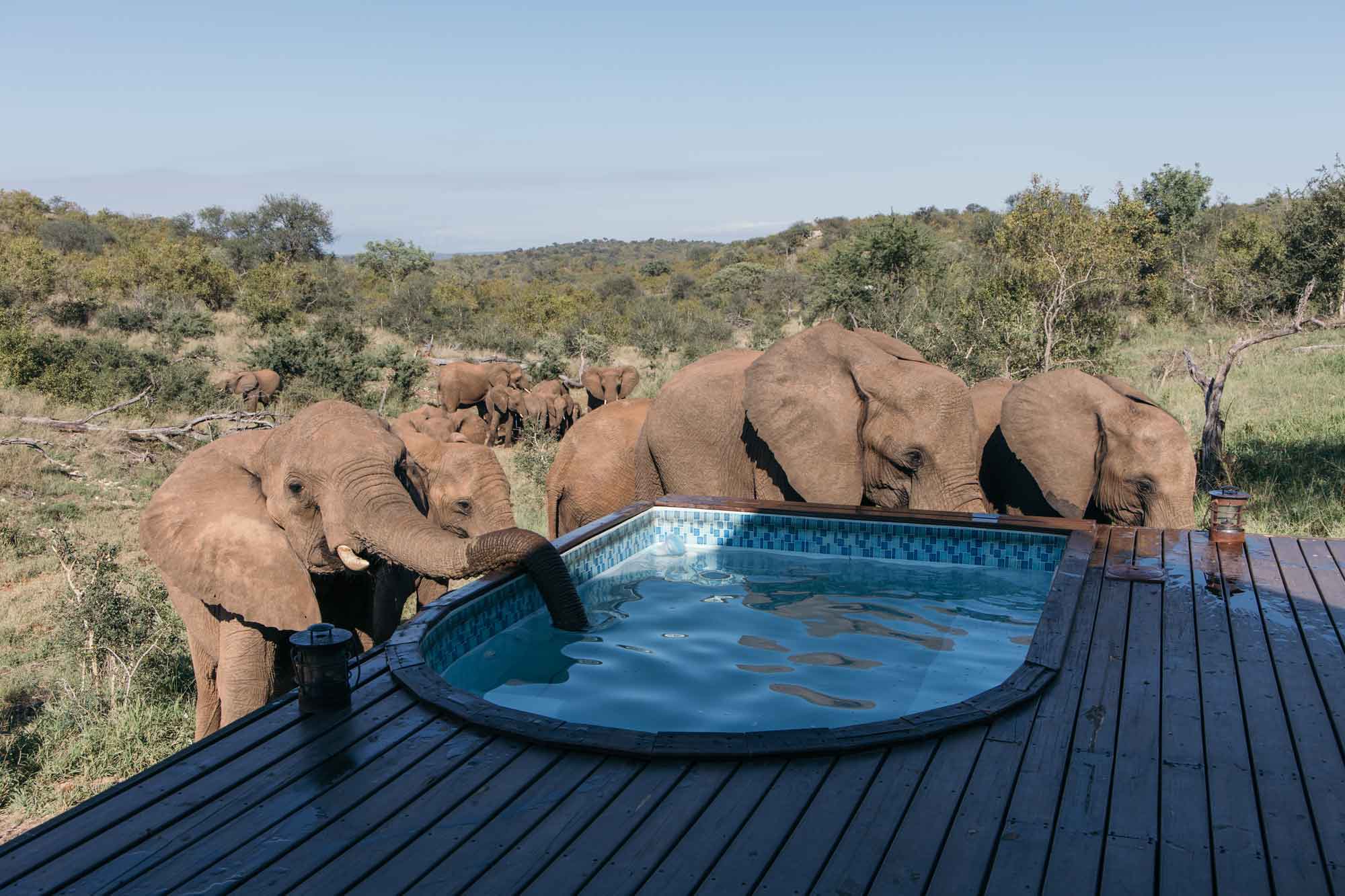 Isambane Camp | Greater Kruger - South Africa Eco Bush Camp