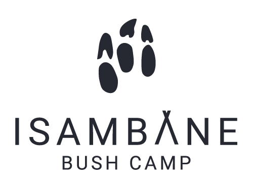 Isambane Camp | Greater Kruger - South Africa Eco Bush Camp