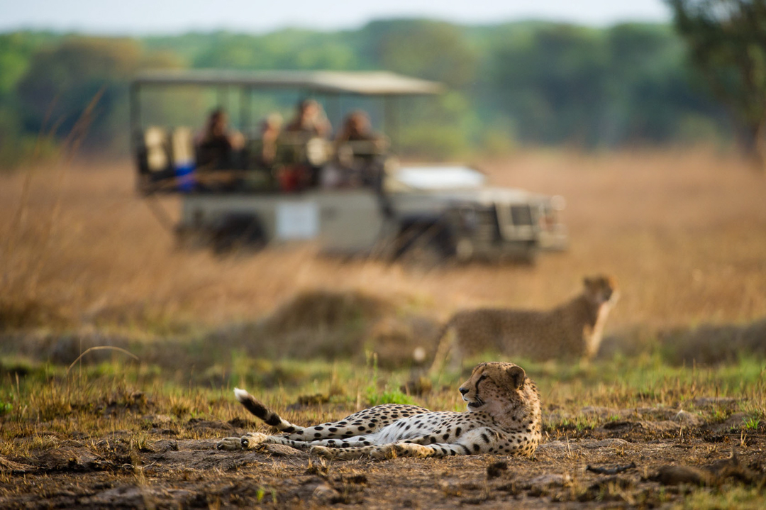 Destinations | Africa's Best Safari Destinations | Where To Go On Safari