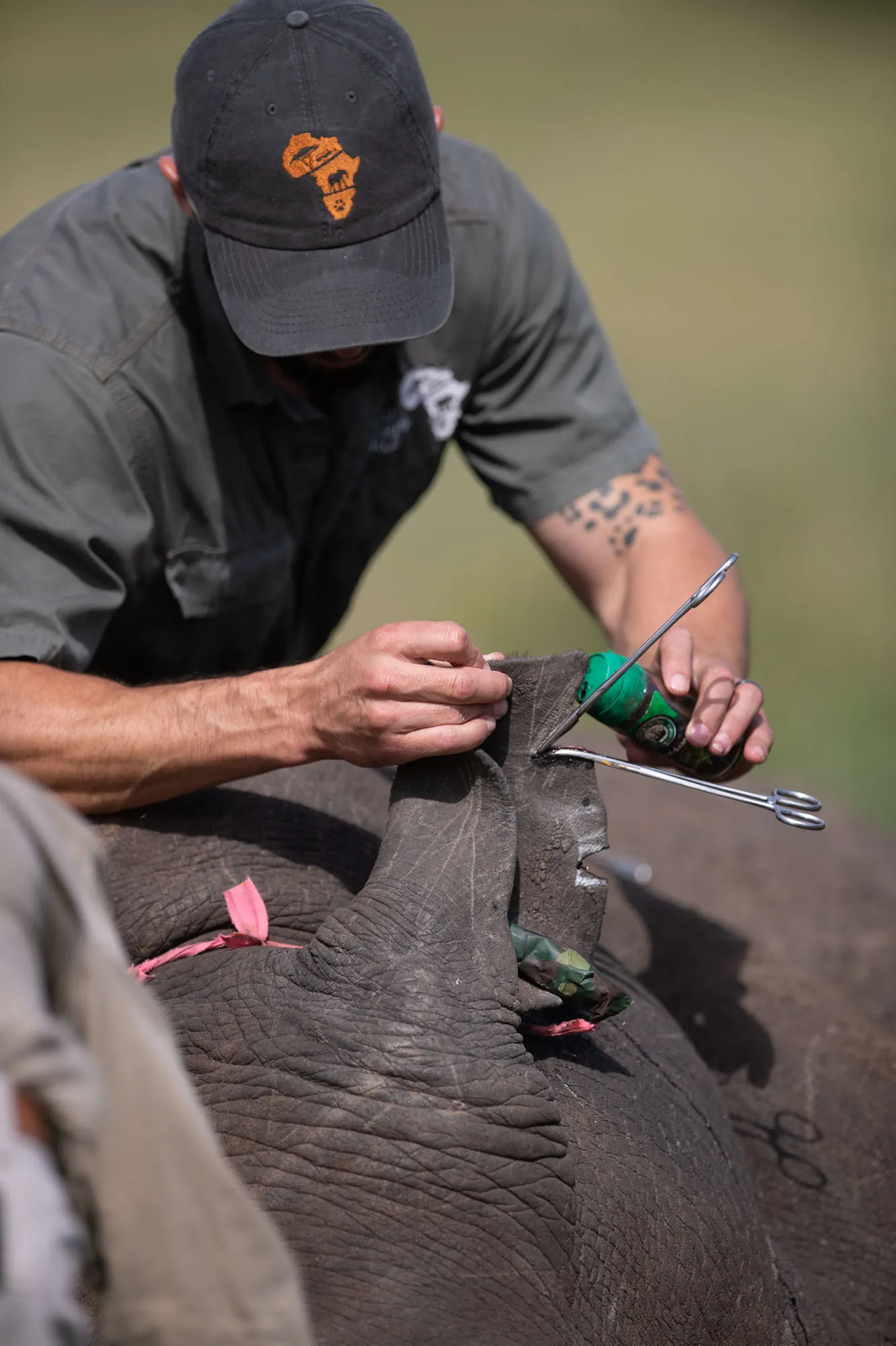 Wild Wonderful World | African Safari | Wildlife Conservation ...